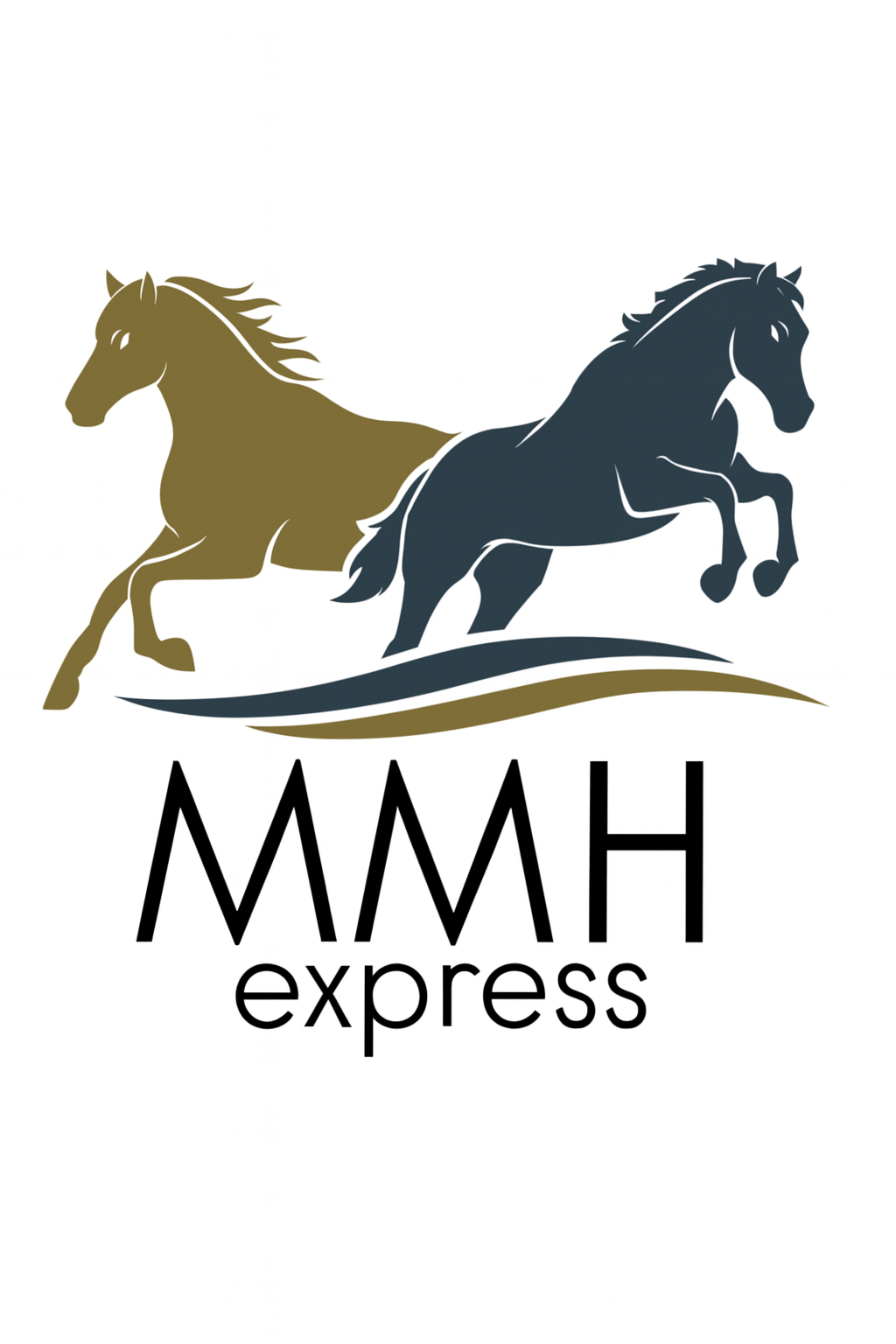 MMH Express - Professional Trucking Services | Dry Van Transportation